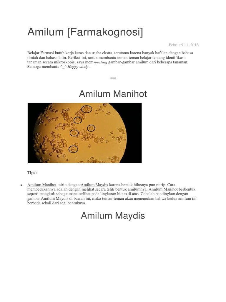 Amilum | PDF