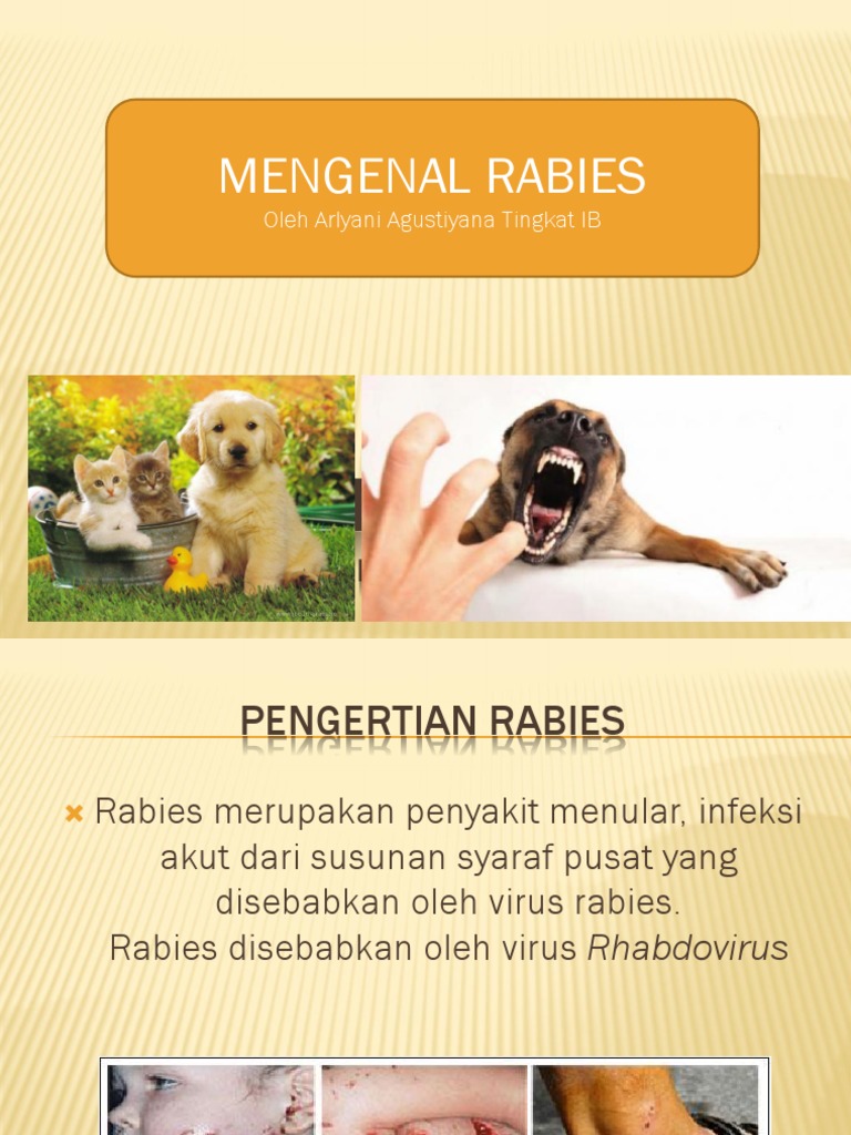 Memahami Penyakit Rabies dan Penularannya | PDF