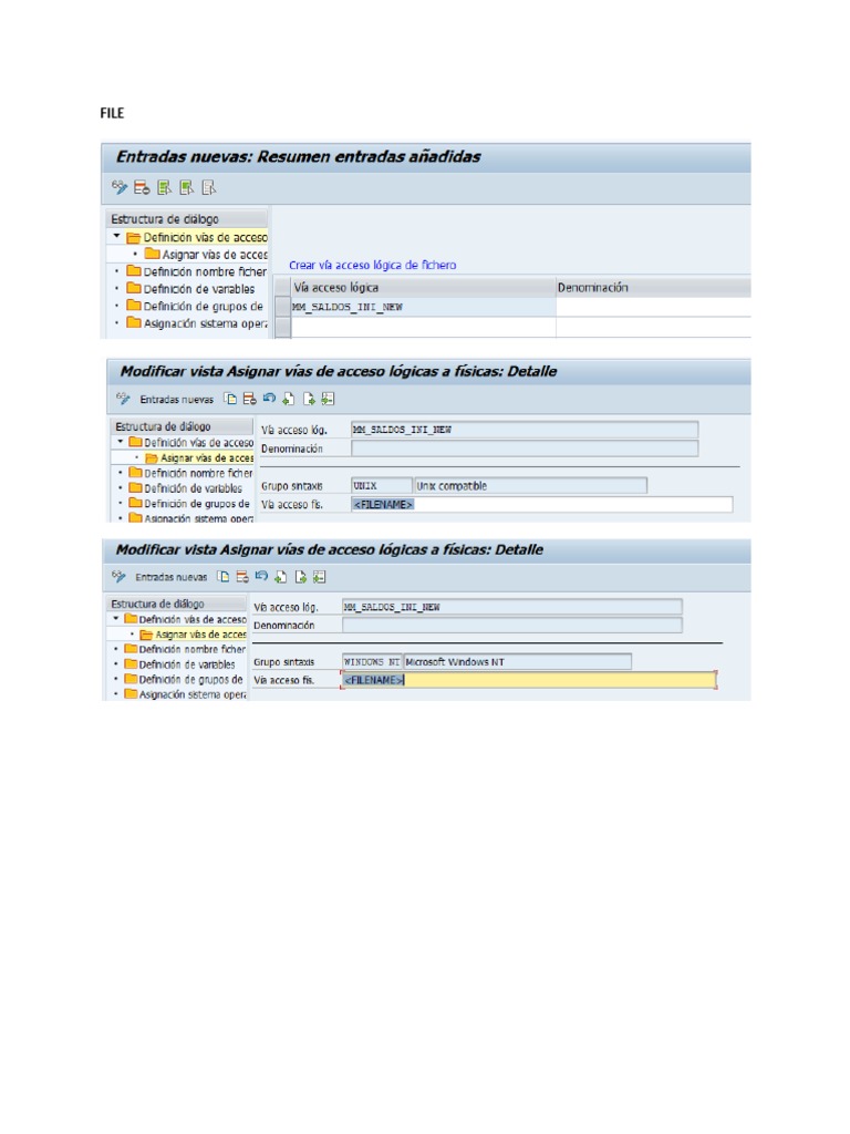 Parametrización LSMW File Path | PDF