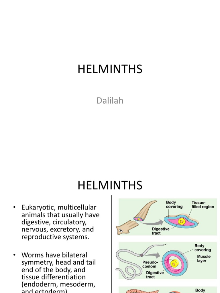It 2 Helminthology | PDF