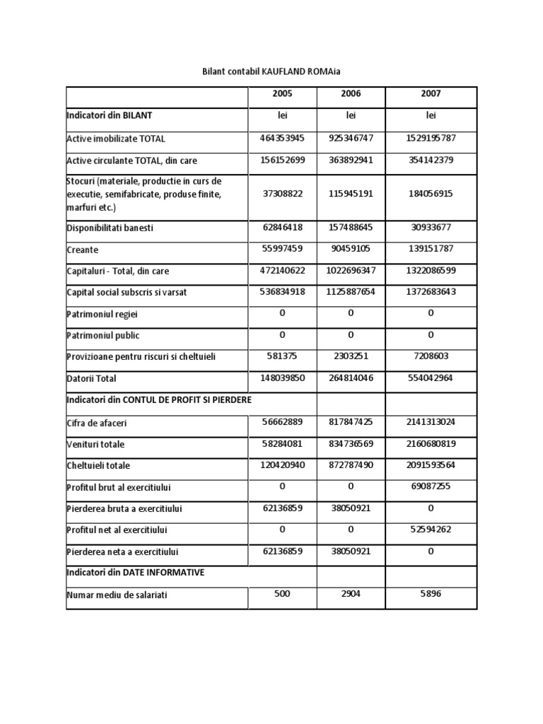 Bilant Contabil KAUFLAND ROMAia | PDF