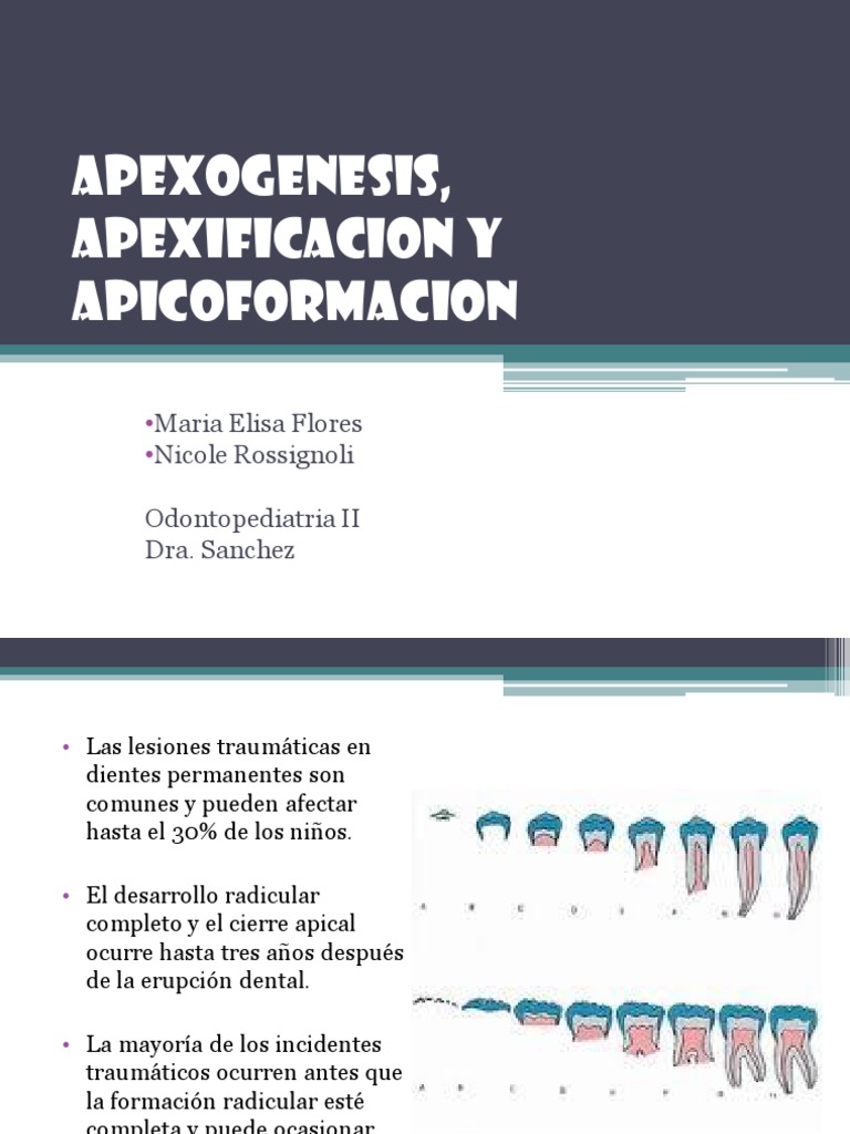 Apexogenesis Apexificacion y Apicoformac | PDF | Boca | Especialidades ...