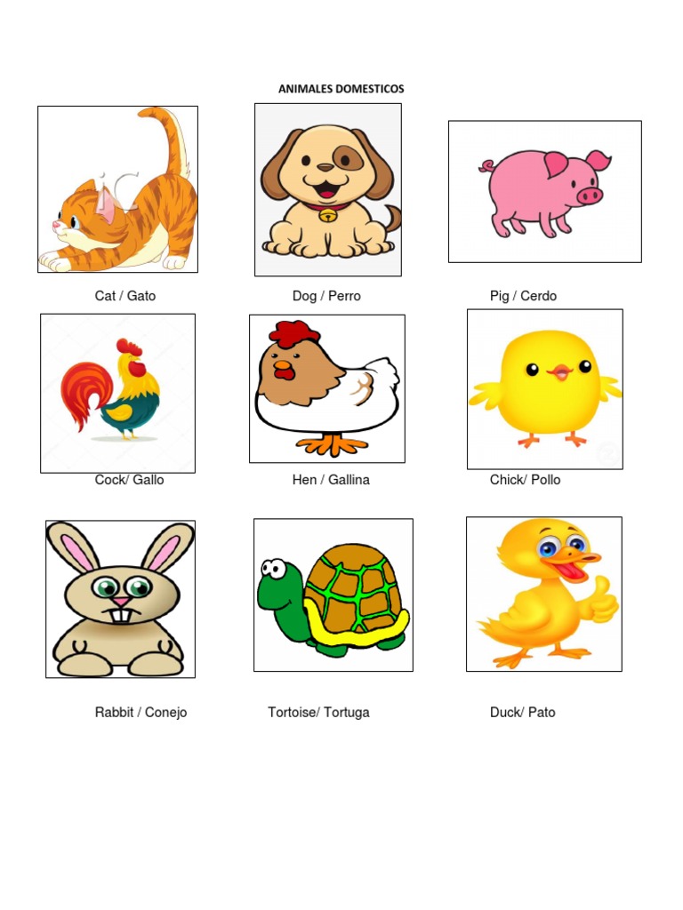 Animales domésticos en inglés y español | PDF