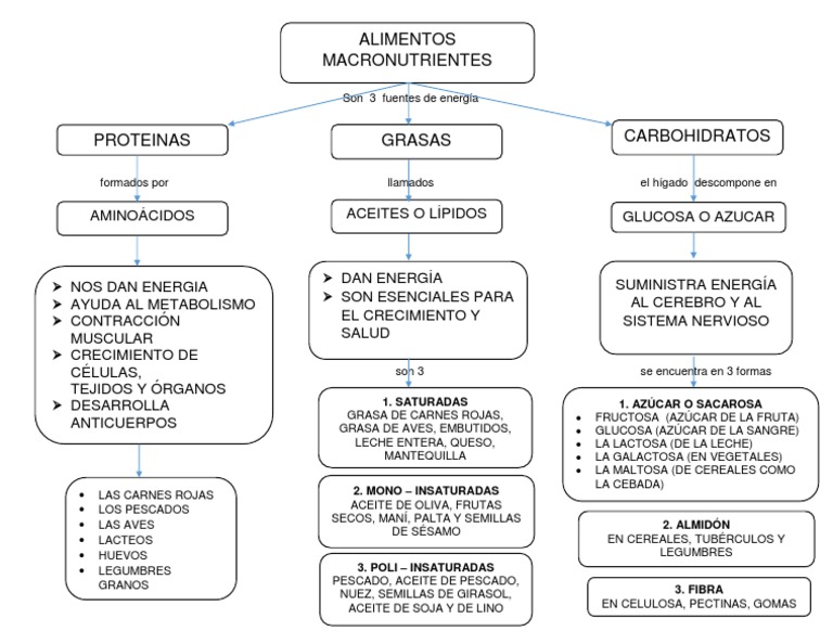 Alimentos Macronutrientes-Mapa Conceptual