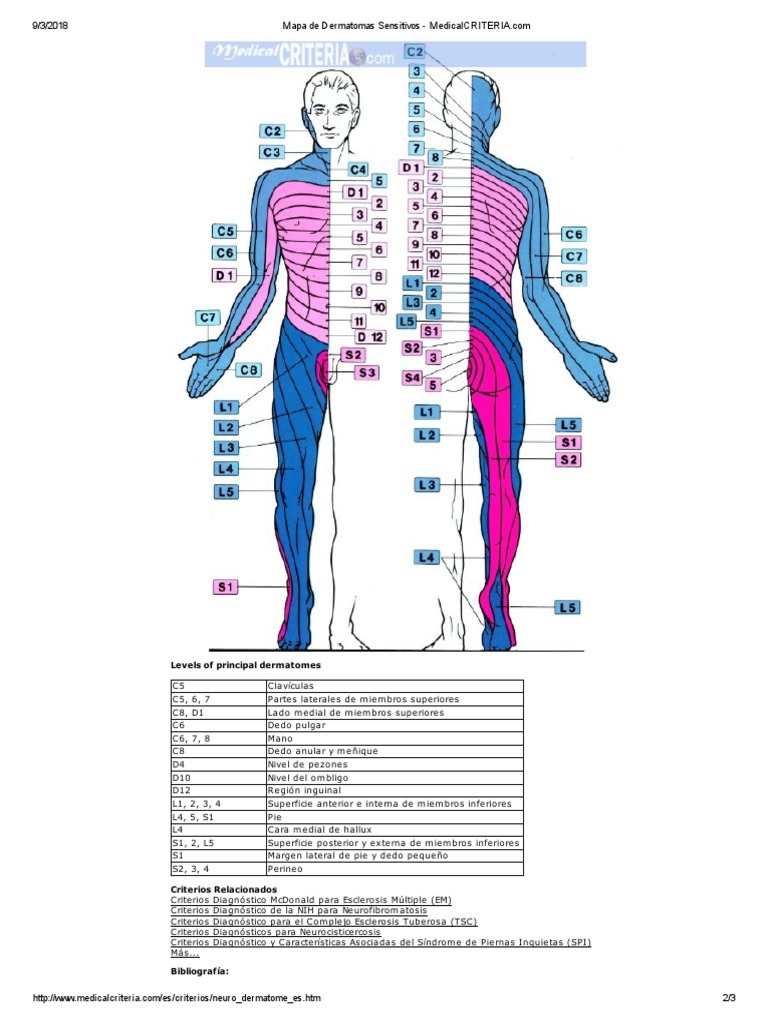 Mapa de Dermatomas Sensitivos - MedicalCRITERIA