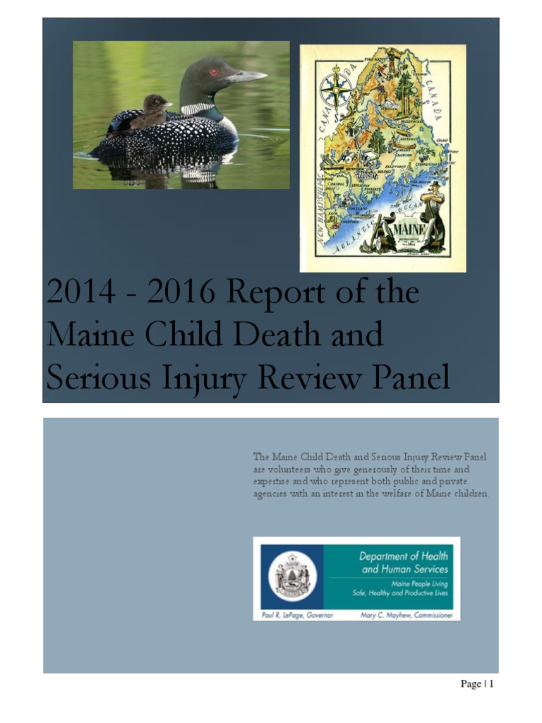 Child Death Review Panel Report | PDF | Child Abuse | Child Protective ...