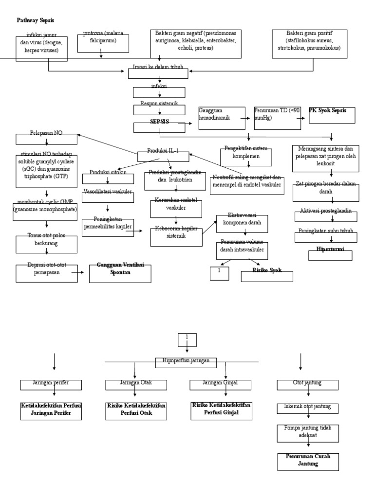 Pathway Dan Askep Sepsis | PDF
