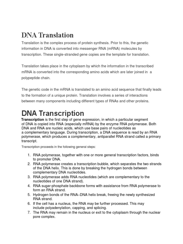 Dna Translation Transcription Proceeds In The Following General Steps