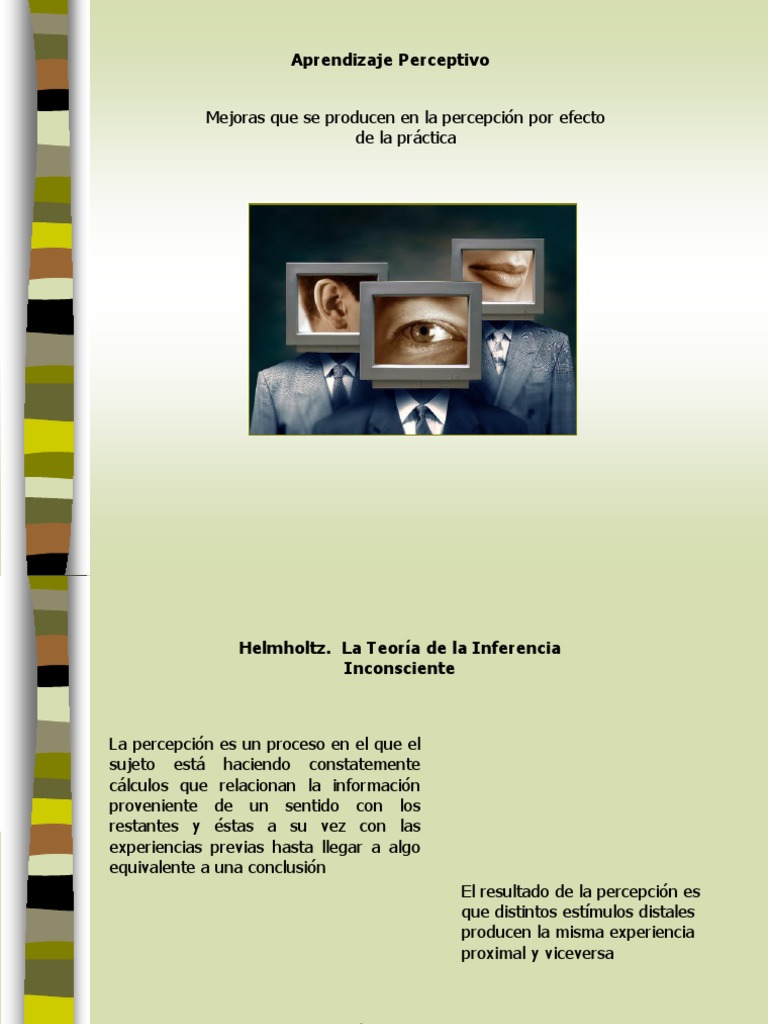 Aprendizaje Perceptivo | PDF | Percepción | Neuropsicología