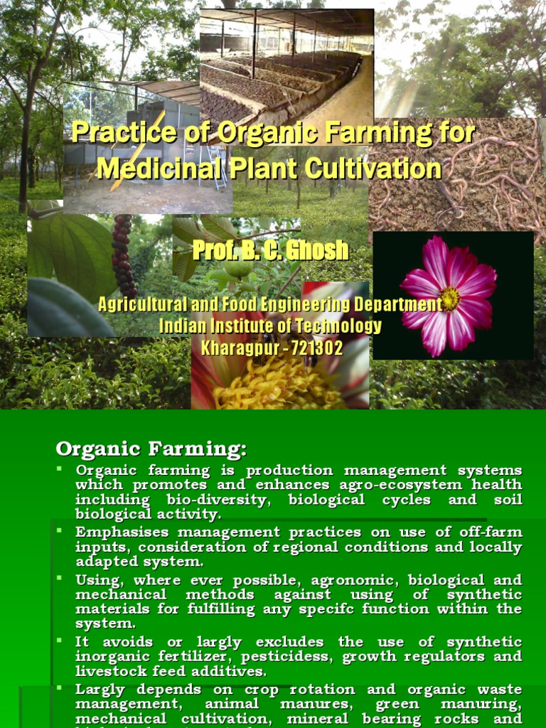Organic Farming and Medicinal Plant | PDF | Agriculture | Agricultural ...