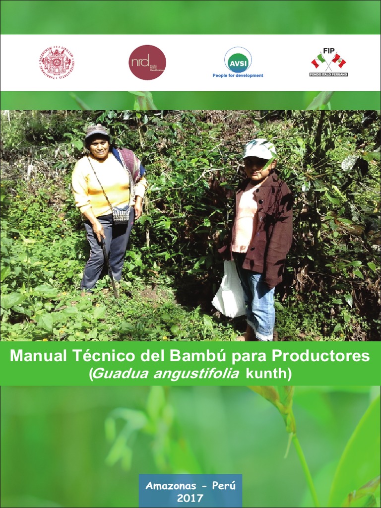 Manual Tecnico Del Bambu para Productores PDF | PDF | Tallo de la ...