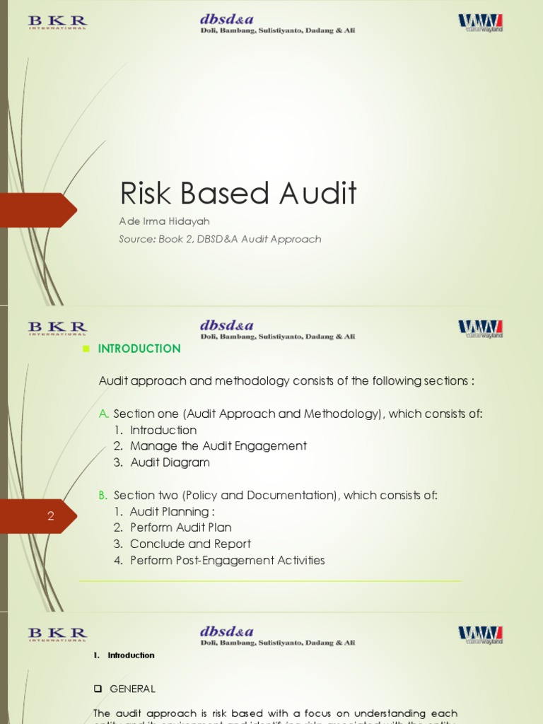 Risk Based Audit | Audit | Financial Audit