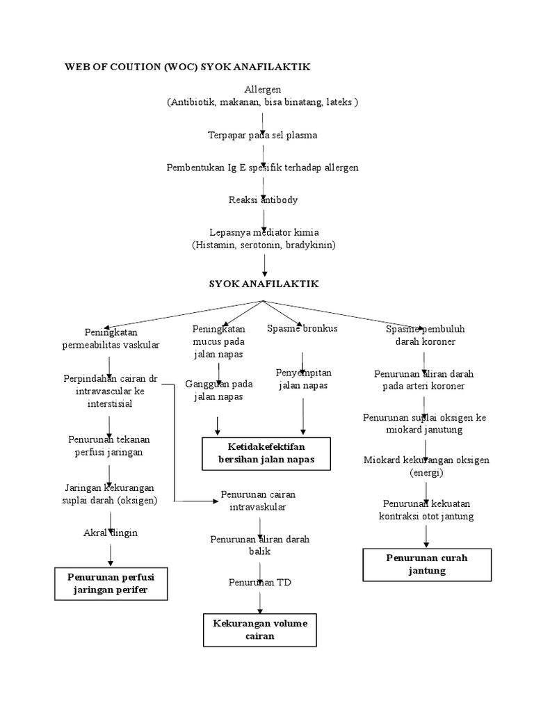 Woc Syok Anafilaktik | PDF