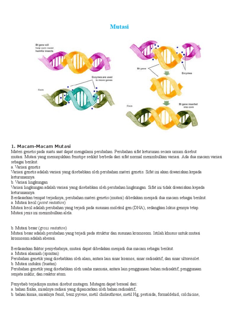 Mutasi - Modul | PDF