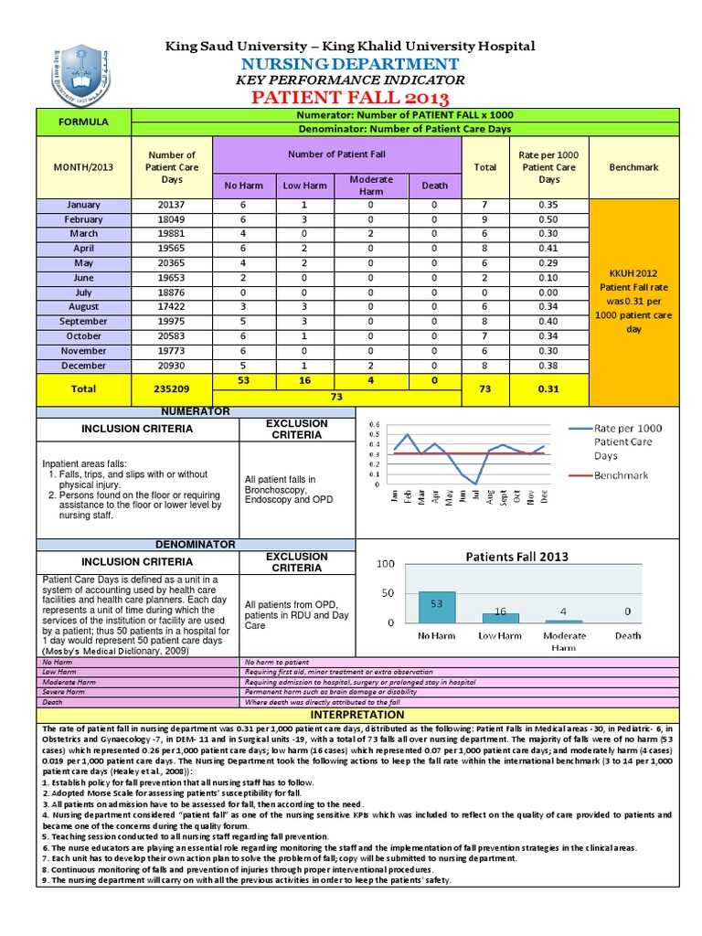 En - 2025-123-1837662383-Nursing KPI 2013 - FINAL | Patient ...