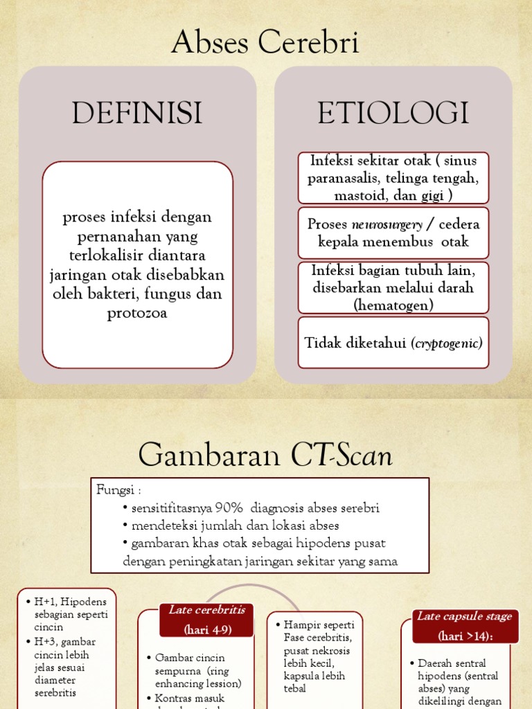 Abses Cerebri | PDF