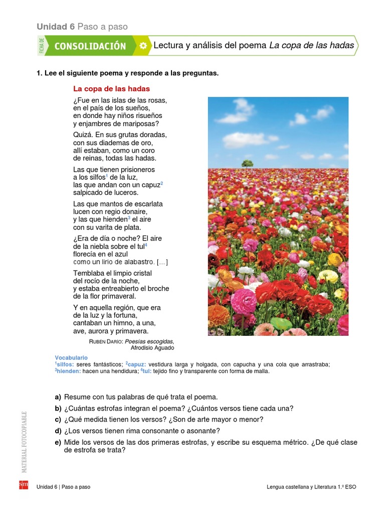 Análisis de Un Poema | PDF | Poética | Forma poética