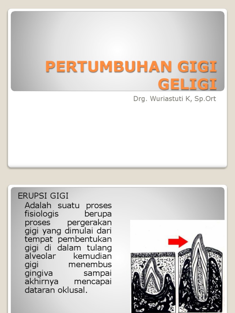ERUPSI GIGI PERMANEN | PDF