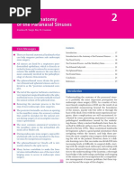 The Preoperative Sinus CT: Avoiding A "Close" Call With Surgical ...