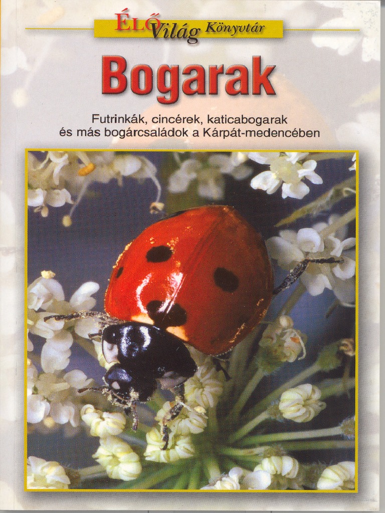Bogarak PDF | PDF