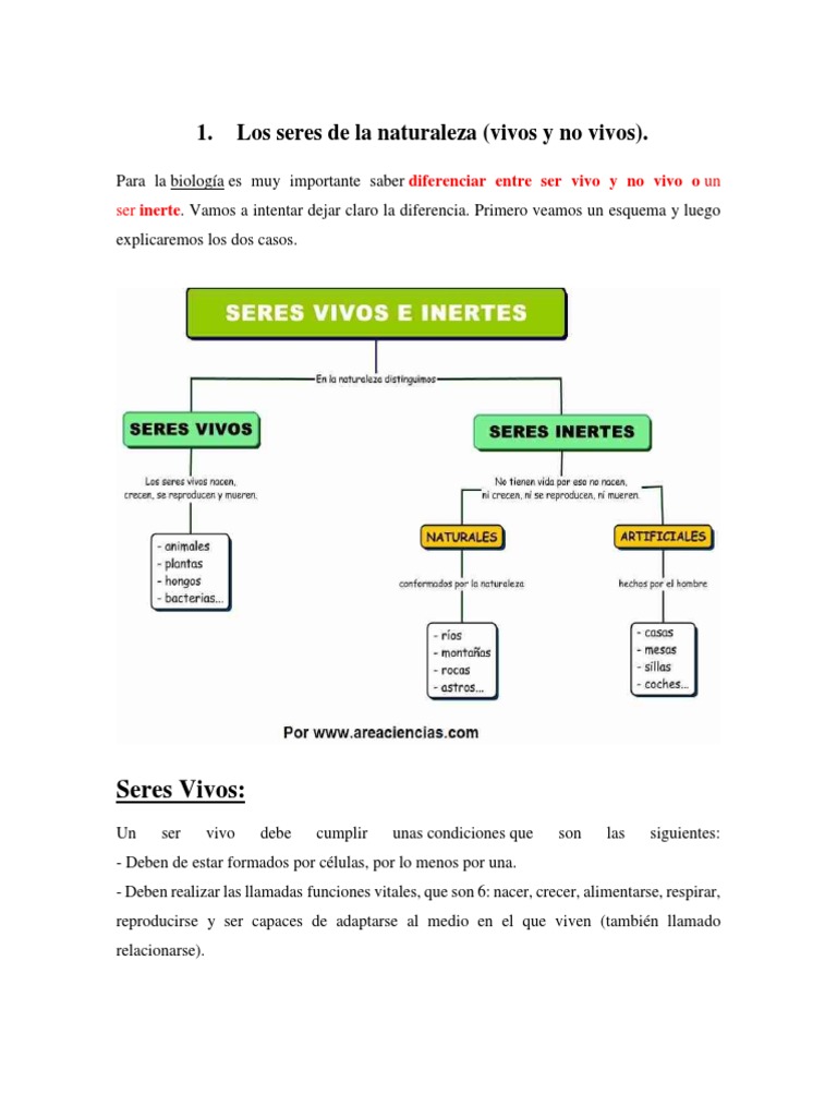 Los Seres de La Naturaleza - Seres Vivos y No Vivos | PDF | Organismos ...