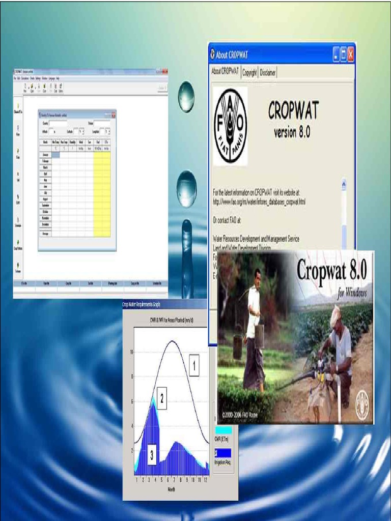 Manual de Uso de Cropwat 8.0 | PDF | Evapotranspiración | Ciencias de ...