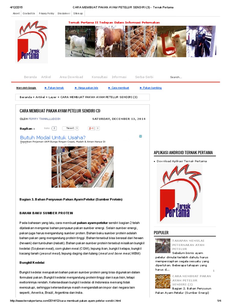 Cara Membuat Pakan Ayam Petelur Sendiri (3) - Ternak Pertama | PDF