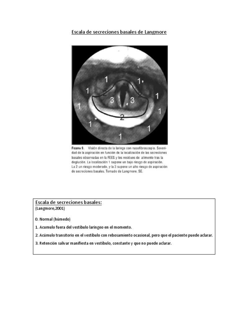 Escala de Secreciones Basales de Langmore | PDF