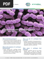 A 4 A - Scorched Particles - tcm11-30908 | PDF | Powdered Milk | Filtration