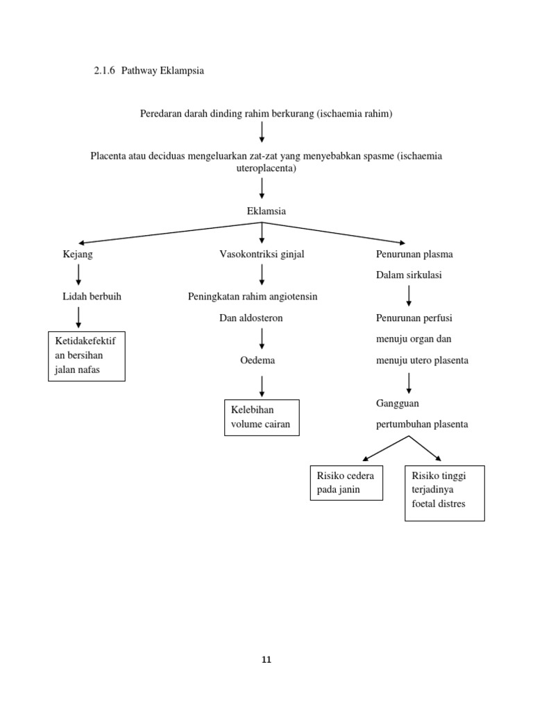 Pathway Eklampsia | PDF