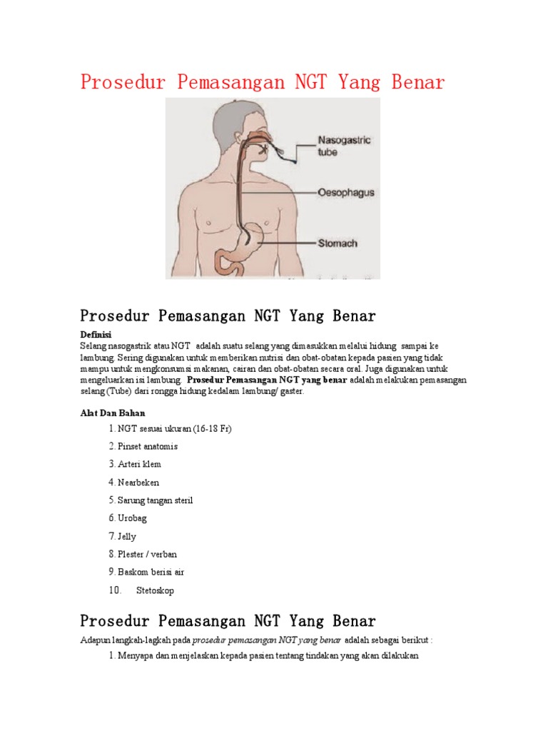 Prosedur Pemasangan NGT Yang Benar | PDF | Kesehatan Holistik | Sains ...