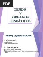 Cultivo Exudado Faríngeo Amigdalino | PDF | Microbiología ...