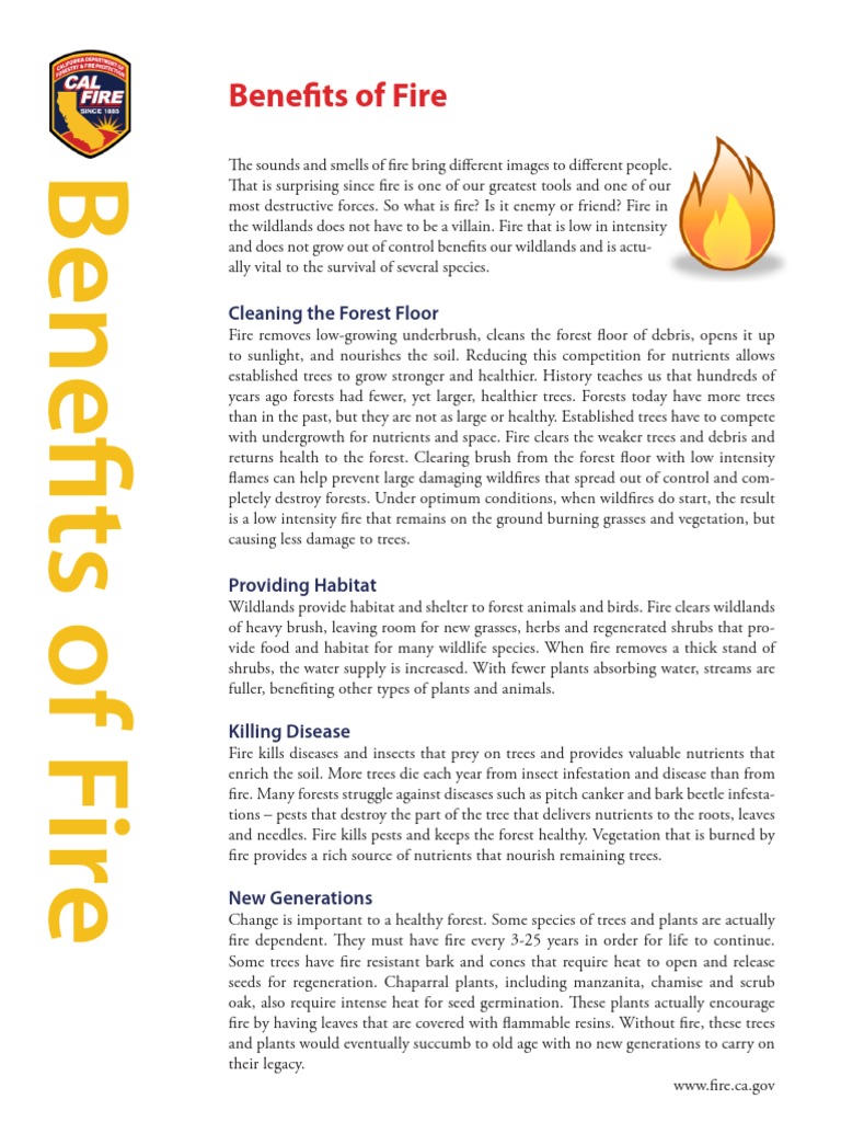 The Benefits of Fire | Download Free PDF | Wildfire | Trees