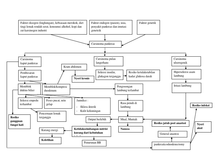 Pathway CA Kaput Pankreas | PDF