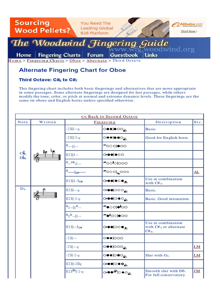 Ob Alt 3 | PDF | Musical Instruments | Music Theory