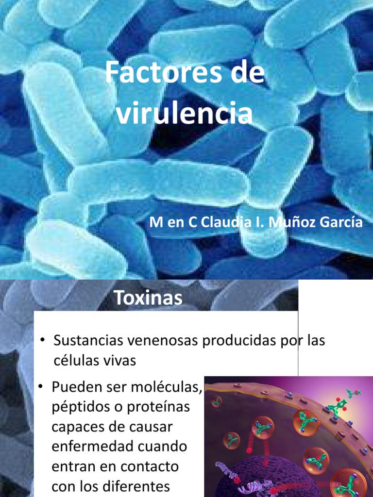 Factores de Virulencia Toxinas | Lipopolisacárido | Anticuerpo