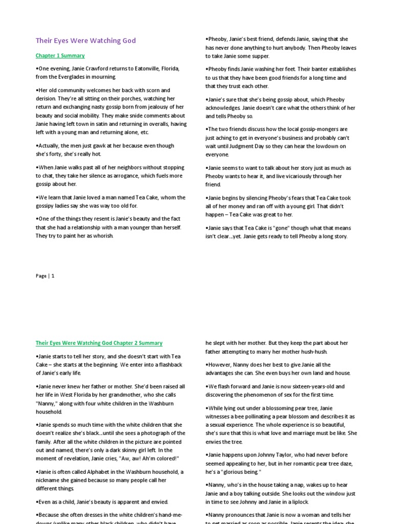 Chapter Summaries of Their Eyes | PDF