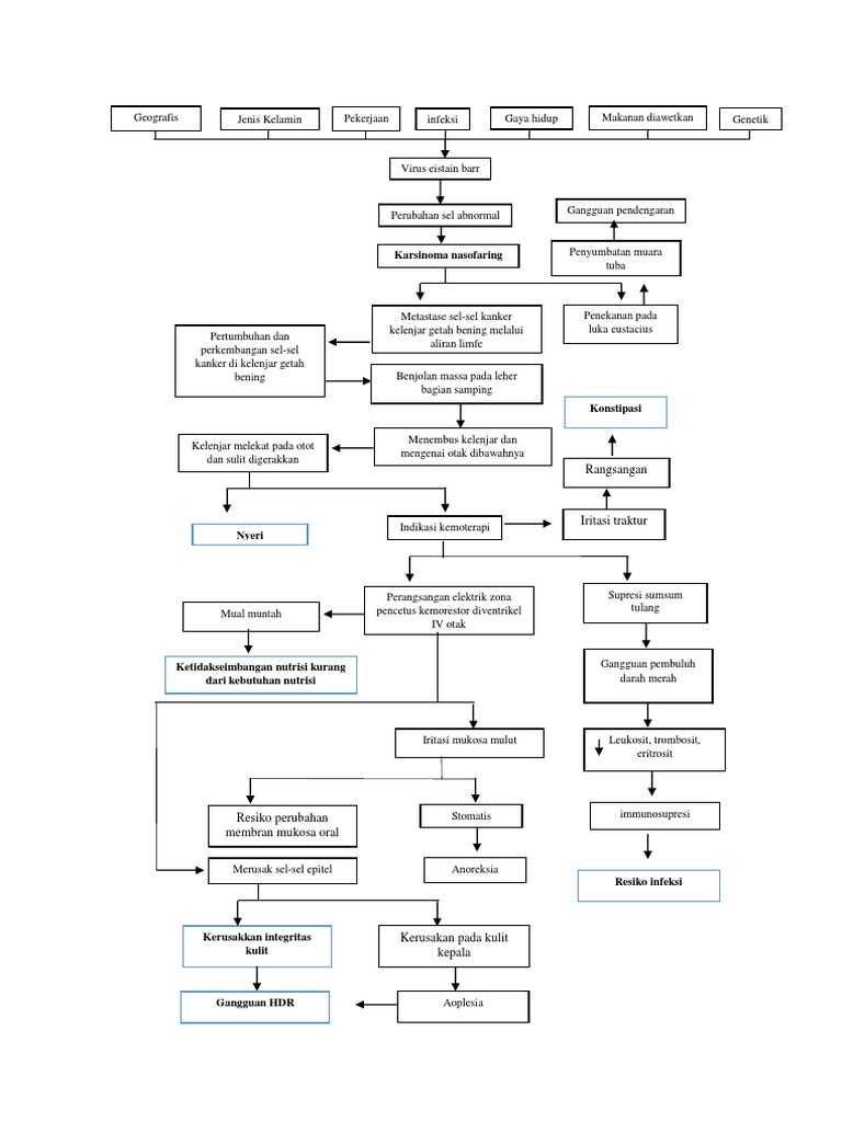 Pathway CA Nasofaring | PDF