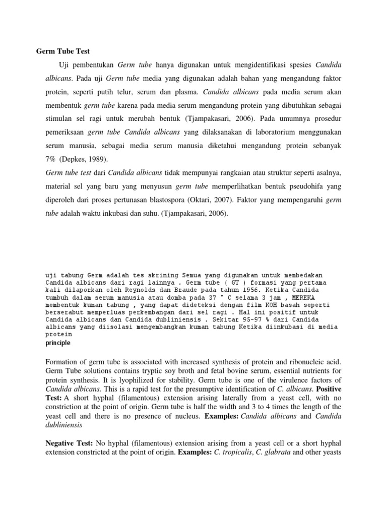Germ Tube Test | PDF