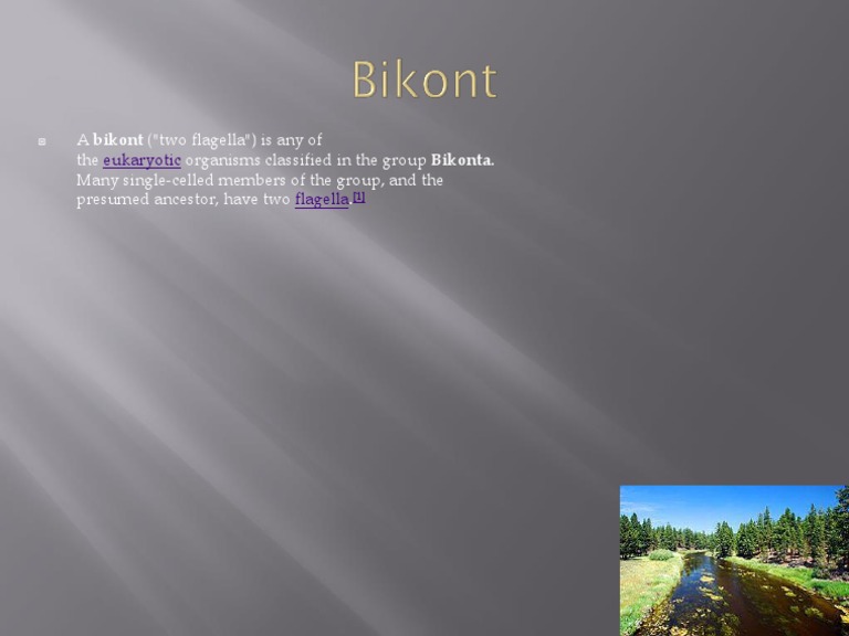Bikont | PDF