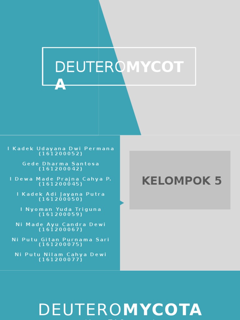 Deuteromycota | PDF