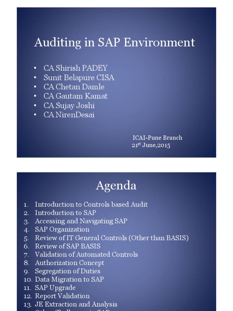 SAP Audit and Controls Overview | PDF | Accounts Payable | Databases