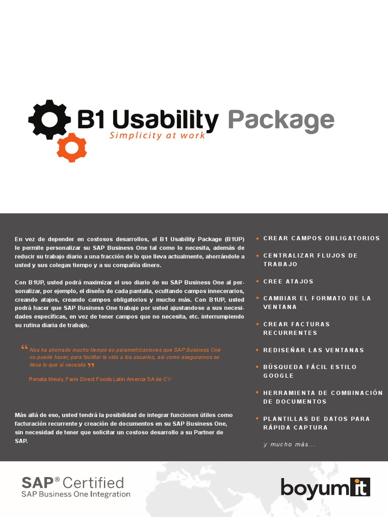 B1 Usability Package - Es | PDF | Sap Se | Bases de datos
