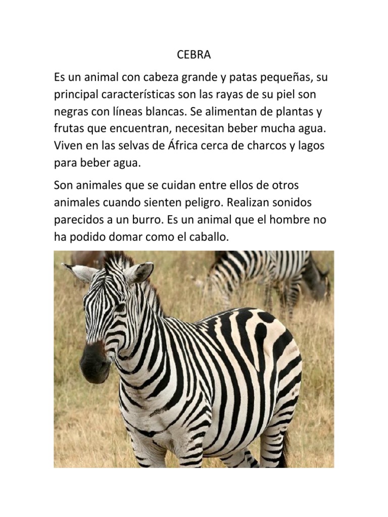 Características de la cebra para niños | PDF