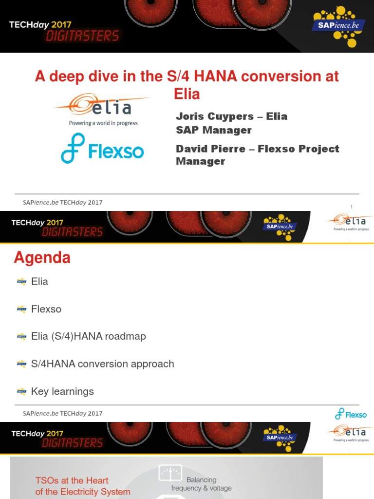 1 1 A Deep Dive in The S4 HANA Conversion | PDF | Information Management | Computing