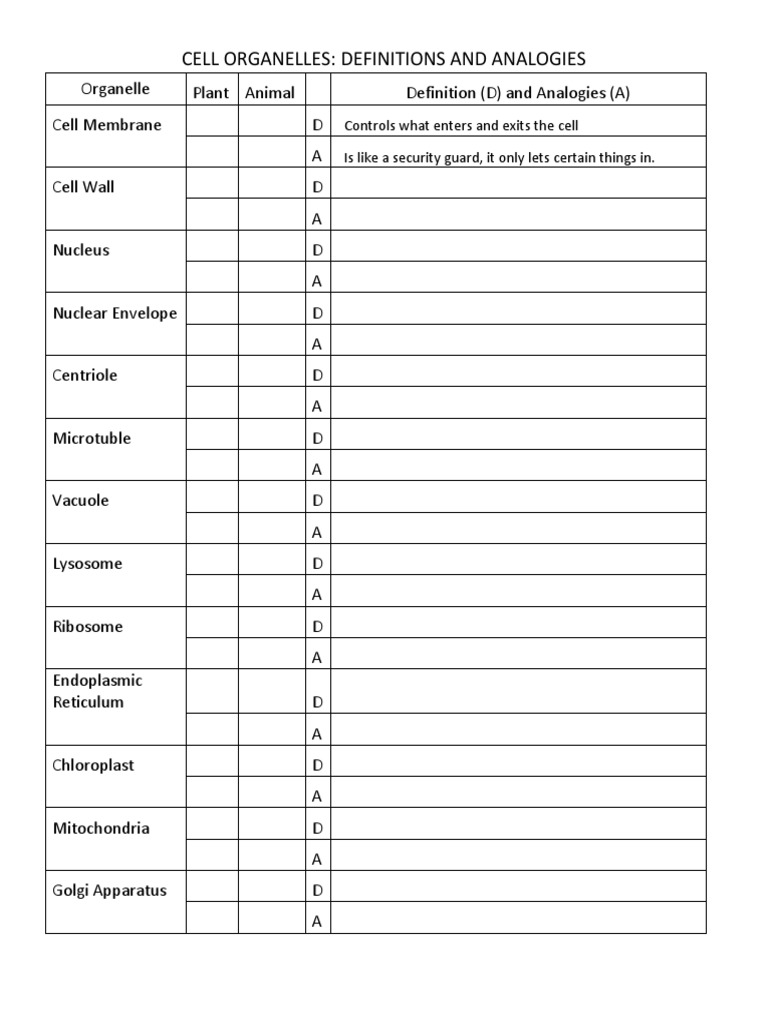 Cell Organelles: Definitions & Analogies | PDF