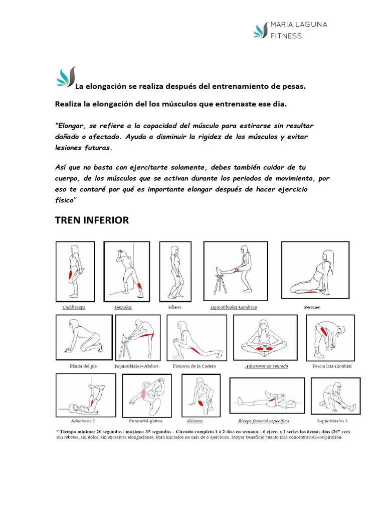 ELONGACION | PDF