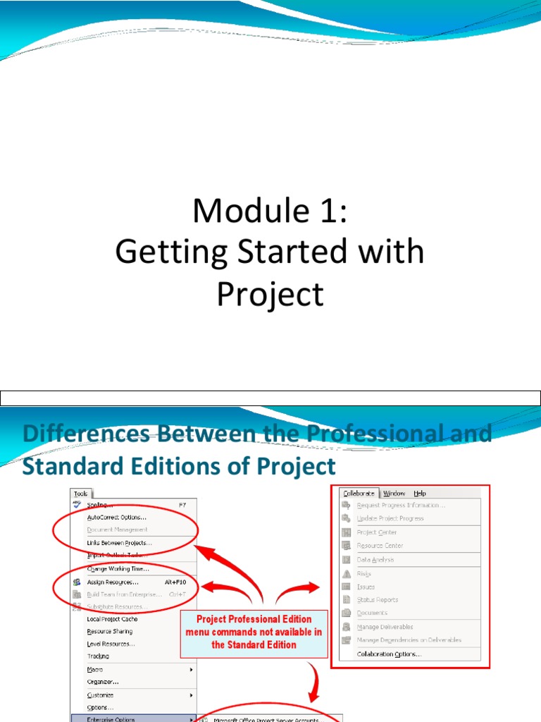 Microsoft Project Training Deck For Beginners | PDF | Computing ...