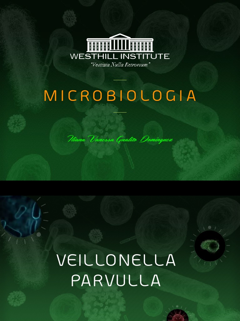 Características de Veillonella parvula | PDF | Microorganismo ...