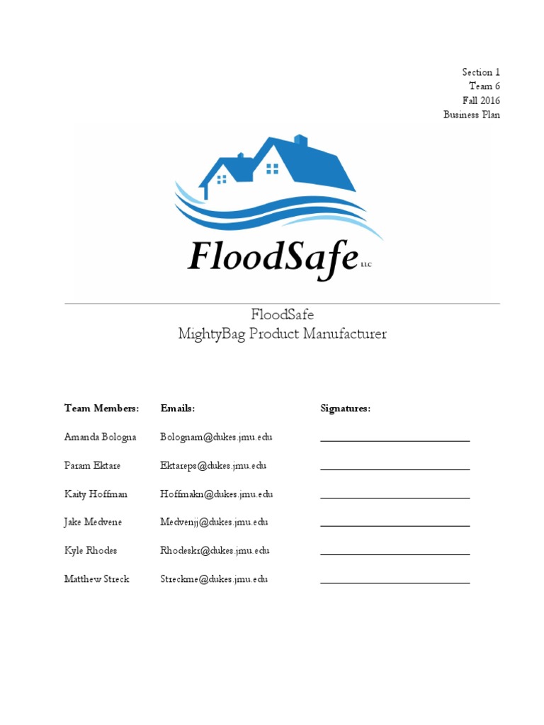 Cob 300 Business Plan | PDF | Inventory | Revenue